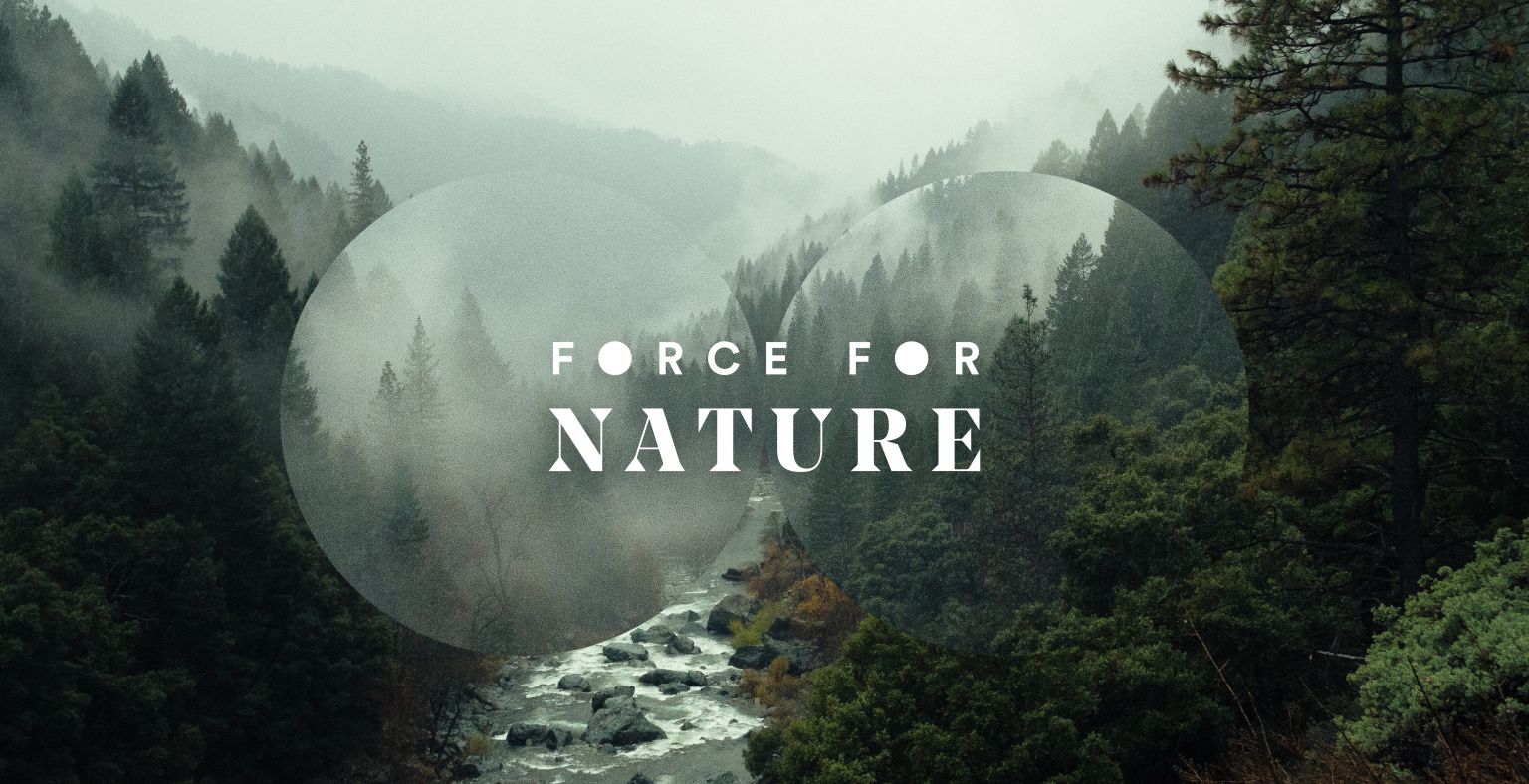 Mathematics to Protect Wildlife and Biodiversity | Force For Nature ...